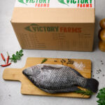 Home | VictoryFarmKenya - Victory Farms Kenya